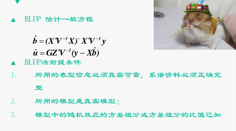 最全的BLUP分析_r语言blup分析-CSDN博客