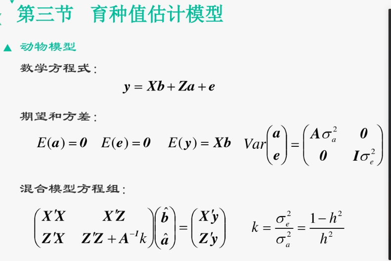 最全的BLUP分析_r语言blup分析-CSDN博客