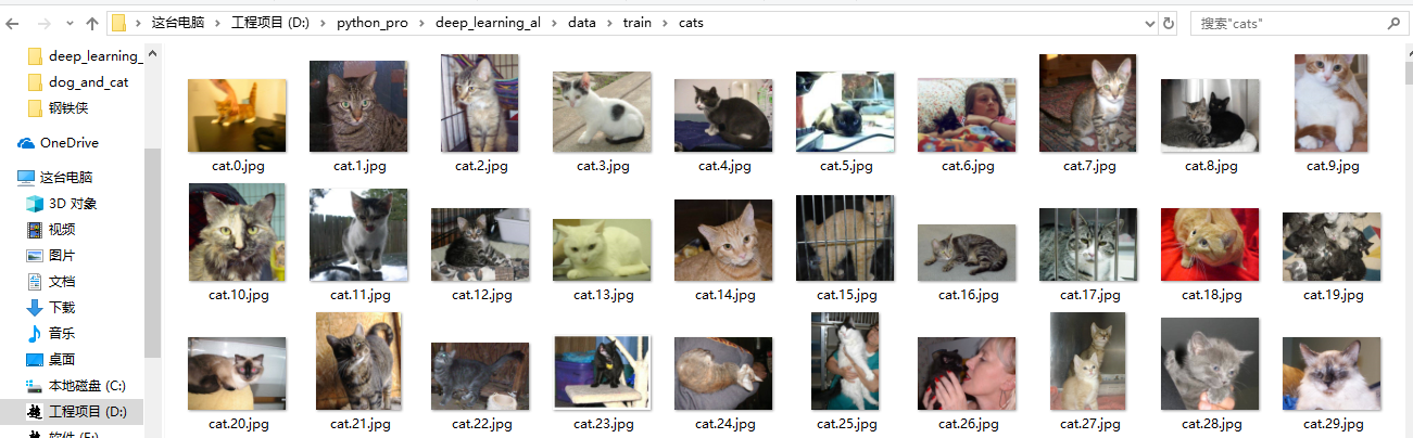 kaggle猫狗分类的总结（AlexNet模型， keras框架），完整实验流程，源代码和详细解析_kaggle狗品种识别模型alexnet-CSDN博客