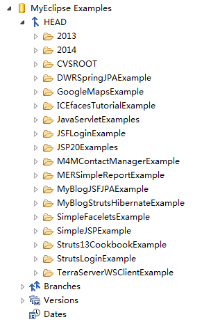 MyEclipse使用技巧之CVS的使用（下载工程、提交修改）_cvs 上传 更新-CSDN博客