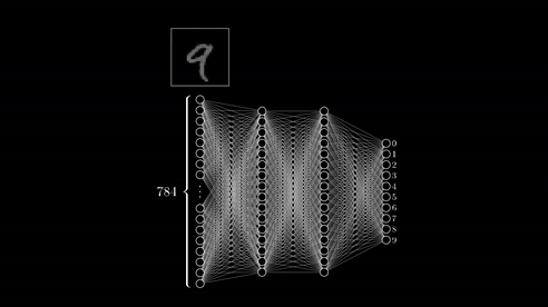 TF：CNN里面的weight，bias，shape，从形状的角度理解整个过程_weight bias-CSDN博客