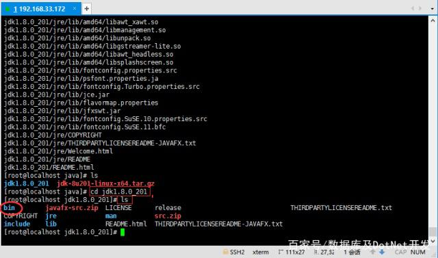 Linux下安装JDK和验证_linux 下安装jdk-CSDN博客