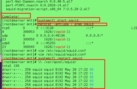 squid服务部署与实践_squid 配置_vanvan_的博客-CSDN博客