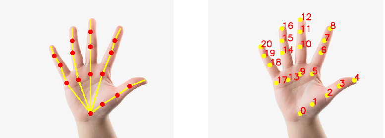 OpenPose 基于OpenCV DNN 的手部关键点检测_openpose手部关键点识别-CSDN博客