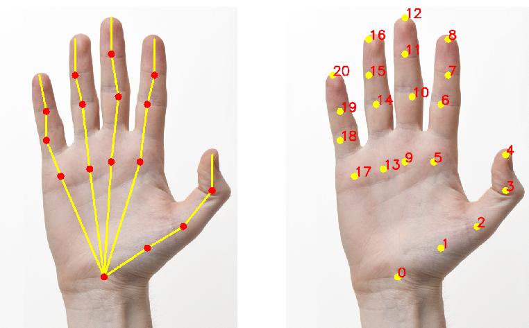 OpenPose hand key point detection based on OpenCV DNN - Programmer Sought