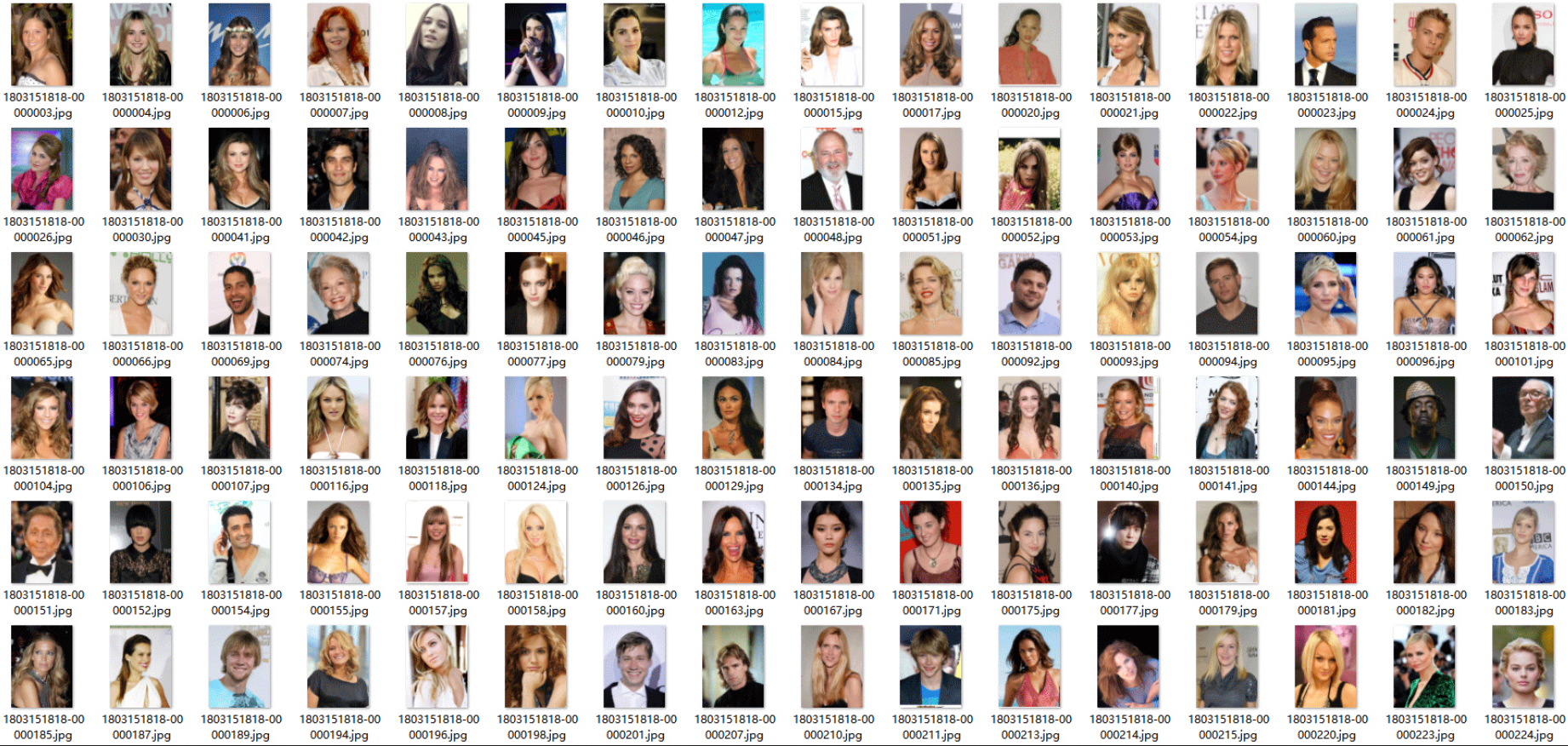 Dataset - aisegment人像Matting数据集_半身人像数据集-CSDN博客