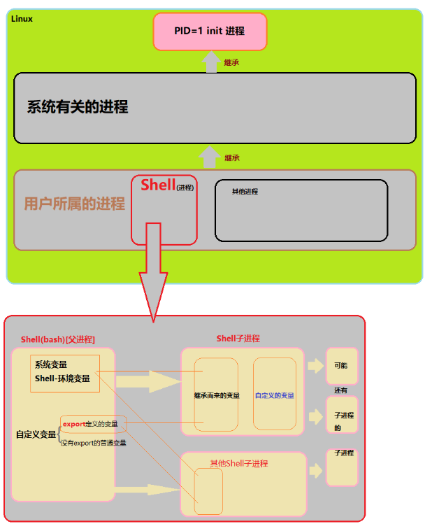 Shell - 03 深刻理解export关键字：再也不会犯迷糊_shell export-CSDN博客