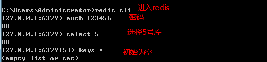Django配置redis数据库settingpy中定义redis数据库 Csdn博客