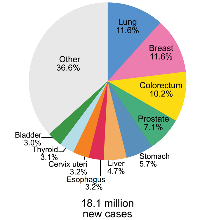 世卫GLOBOCAN 2018年全球癌症统计报告-CSDN博客