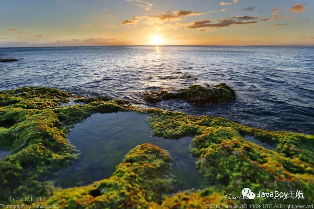 创建一个 Netty Service_netty.service-name-CSDN博客