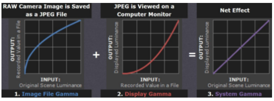gamma和LWF的分享_人眼亮度感知曲线_陈大白(FMV)的博客-CSDN博客