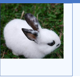 js实现获得QQ截图或者微信截图后剪切板的内容clipboardData_js 获取剪贴板中微信的截图-CSDN博客