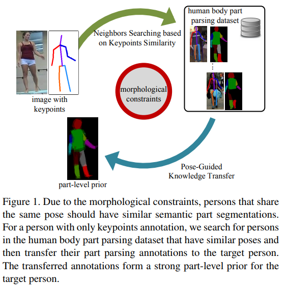 human parsing—学习笔记_human body part parsing-CSDN博客