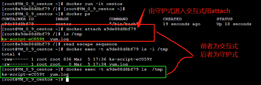 Docker 容器container 常用的基本命令（重要）及实例（下）docker运行container的命令 Csdn博客 
