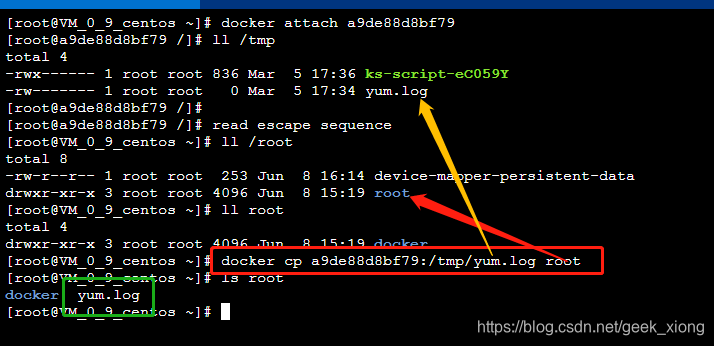 Docker 容器container 常用的基本命令(重要)及实例(下) Docker运行container的命令 Csdn博客