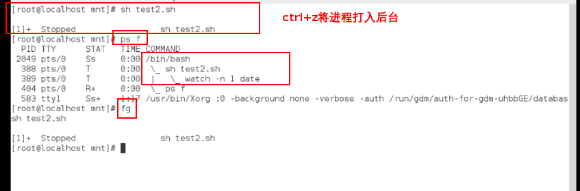 shell脚本中调试和执行的几种方式_温柔梦9527的博客-CSDN博客_调试shell脚本的两种方式