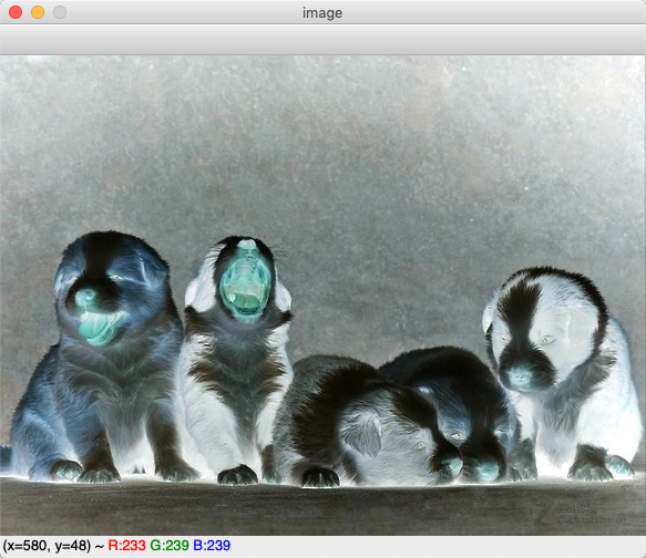 Opencv：图片颜色翻转cv2 翻转颜色 Csdn博客 