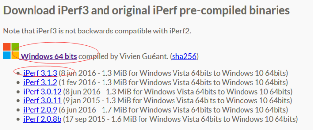 网络性能测试工具 -- IPerf3配置及使用_iperf3免安装-CSDN博客