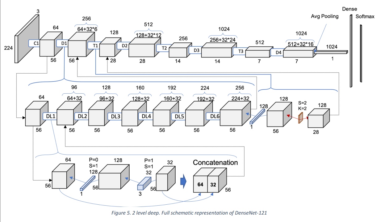 DenseNet图解_densenet怎么画-CSDN博客