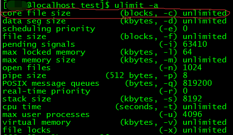 产生core dump文件的两种方法_kill信号没有core dump-CSDN博客
