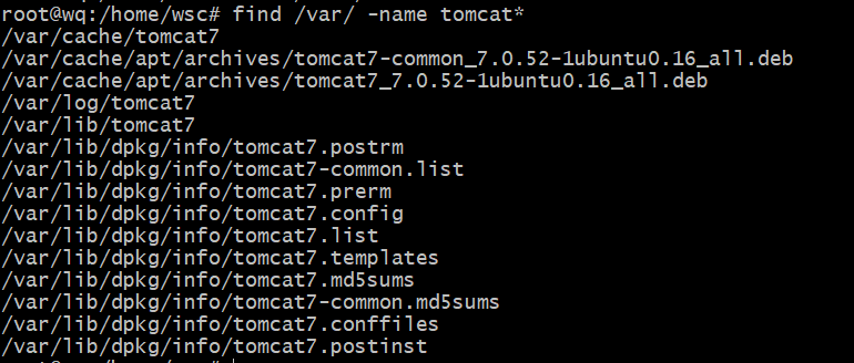 ubuntu——whoami、ps -ef、top、find命令详解_ubuntu ps -ef-CSDN博客