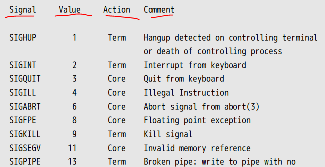 操作系统与系统编程（3）——信号_接收到sigint信号,为什么不处理对应函数-CSDN博客