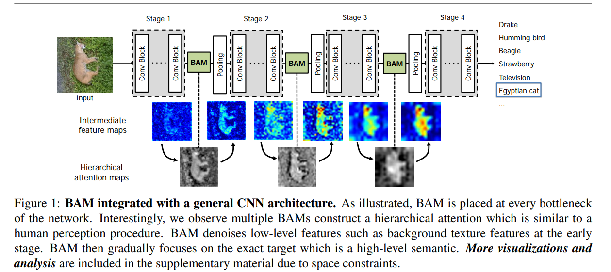 CNN经典结构（Lenet，AlexNet，VGG，GoogleNet，ResNet, Resnext, Densenet, Senet, BAM,mobilenet）及其pytorch实现 ...