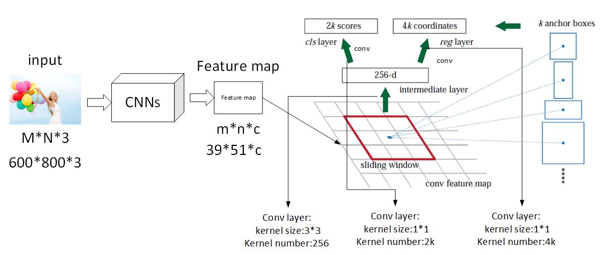 RPN(region proposal network的理解)_256维向量-CSDN博客