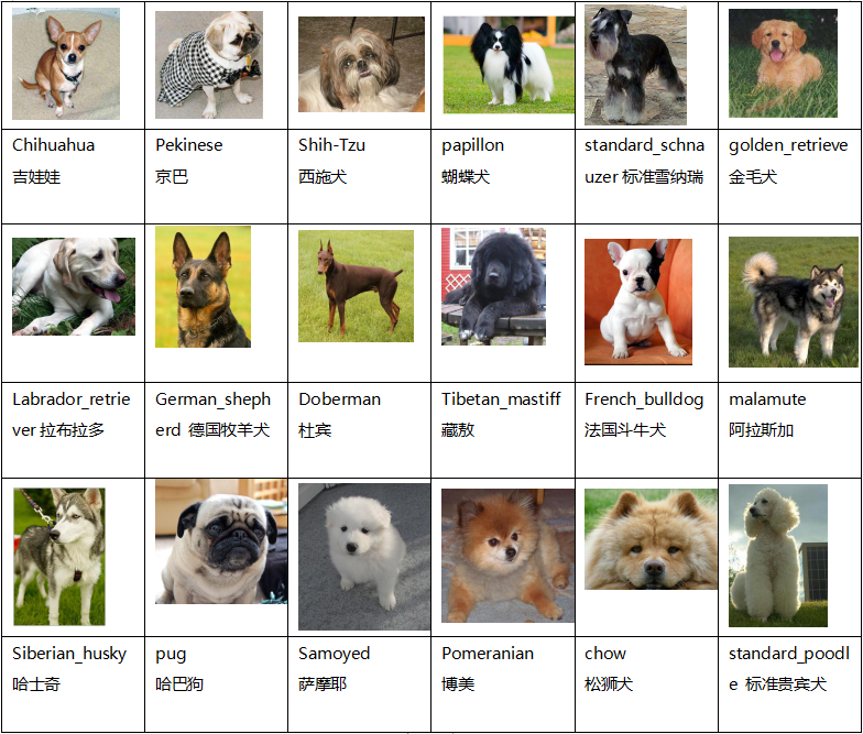 基于目标检测的狗品种识别及图像检索_stanford dog数据集识别狗狗品种-CSDN博客