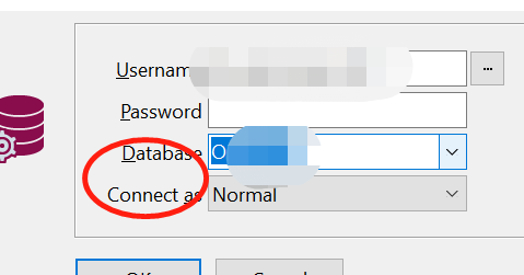 PLSQL Developer 13链接oracle安装与配置手册_plsql13 32位-CSDN博客