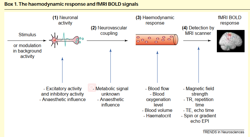 如何理解fMRI BOLD信号的神经起源？-CSDN博客