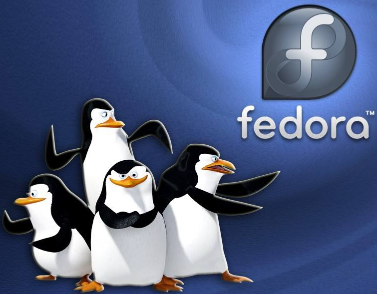 Linux常见的发行版有SUSE、Ubuntu、RedHat、CentOS、Fedora、不同发行版之间有不同的联系和区别_suse和 ...
