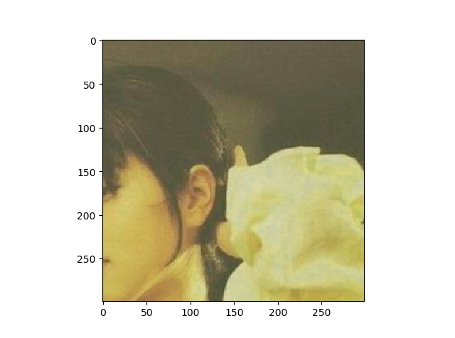 基于tensorflow的图像处理(二) tf.image的使用方法-CSDN博客