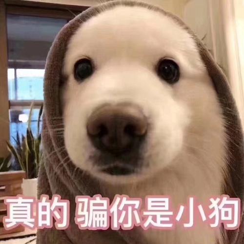 EasyUI 中自定义组件 icon 图标_easyui icon-CSDN博客