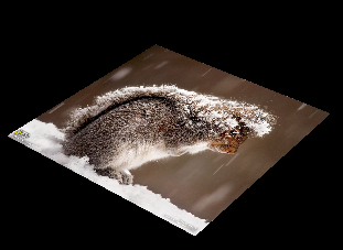 Vulkan教程 - 21 组合图像采样器_vulkan uniform sampler binding-CSDN博客