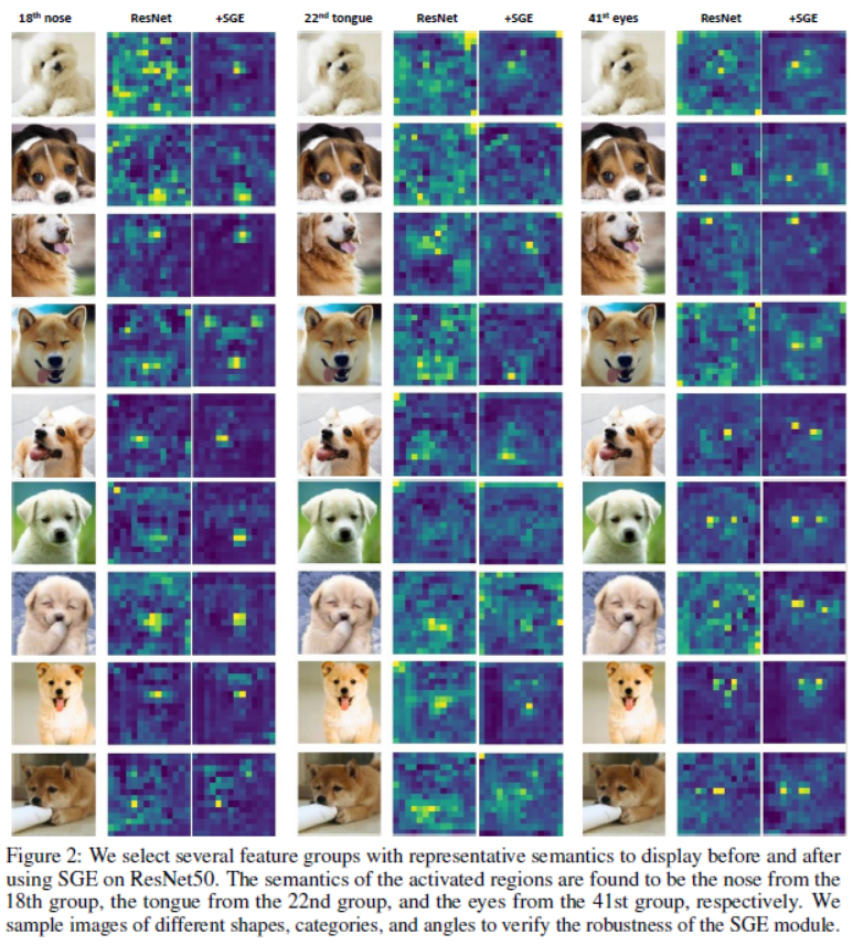 论文阅读笔记之——《Spatial Group-wise Enhance: Improving Semantic Feature Learning in Convolutional ...