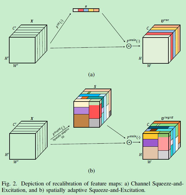 [深度学习从入门到女装]Adaptive feature recombination and recalibration for semantic segmentation with ...