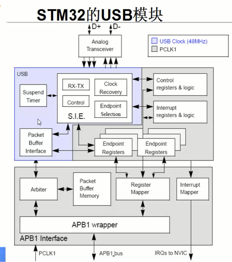 STM32-(46)：USB总线与USB设备（STM32的USB模块特性）_stm32 usb-CSDN博客