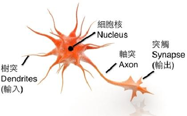 BP神经网络的详细推导_bp神经网络公式推导-CSDN博客
