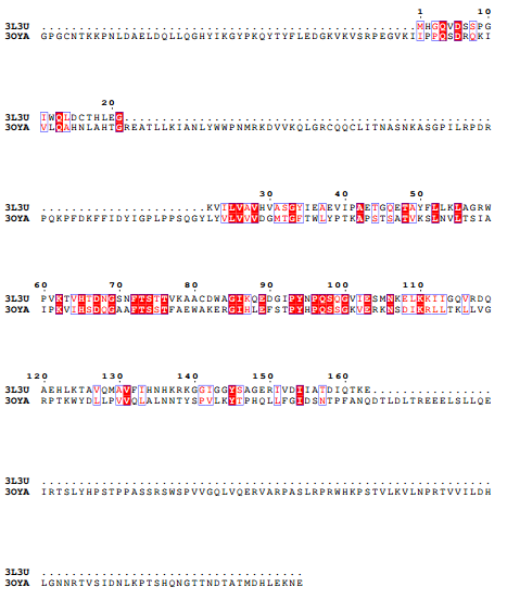如何做出漂亮的序列比对图——ENDscript/ESPript_氨基酸序列比对图怎么做-CSDN博客