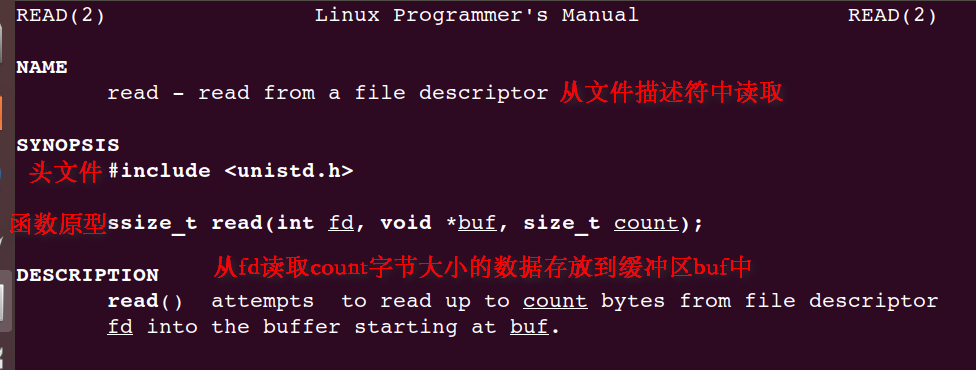 Linux文件IO操作/open/write/read函数的使用_openfile c-CSDN博客