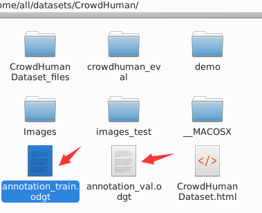 CrowdHuman数据集格式 ——odgt文件格式-CSDN博客
