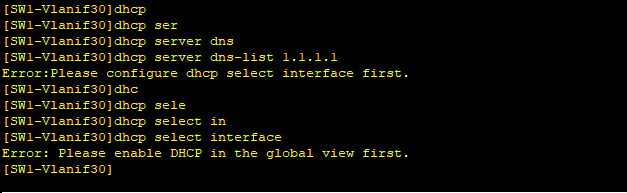 DHCP_dns-list-CSDN博客