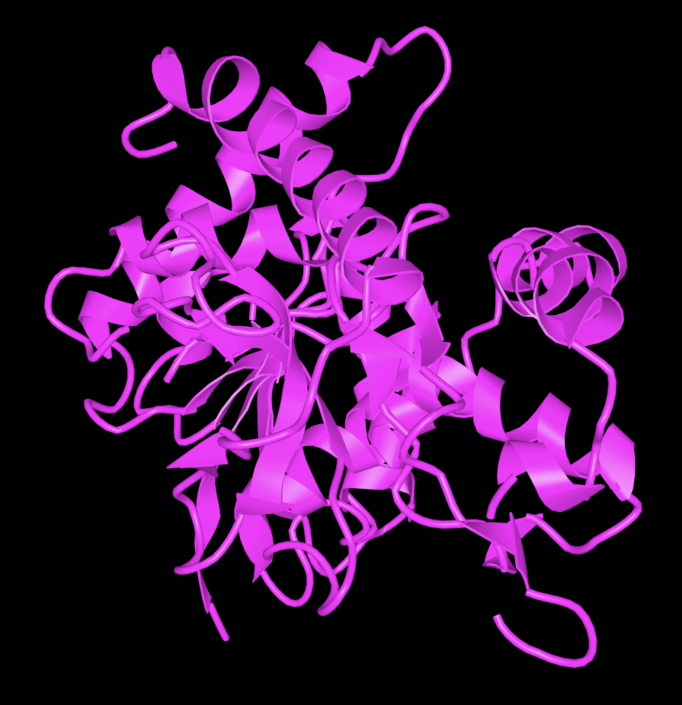 根据Modeller官网教程2进行建模（多模版、环、配体）__CoCoNutNut_的博客-CSDN博客