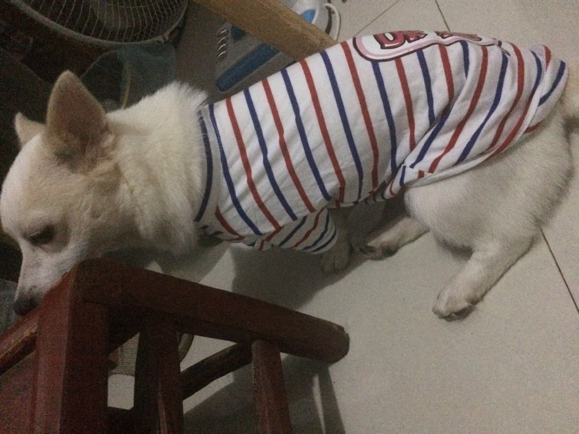 tensorflow c++加载checkpoint model.meta model.index报错解决及转cv::Mat为Tensor_model loading failed!-CSDN博客