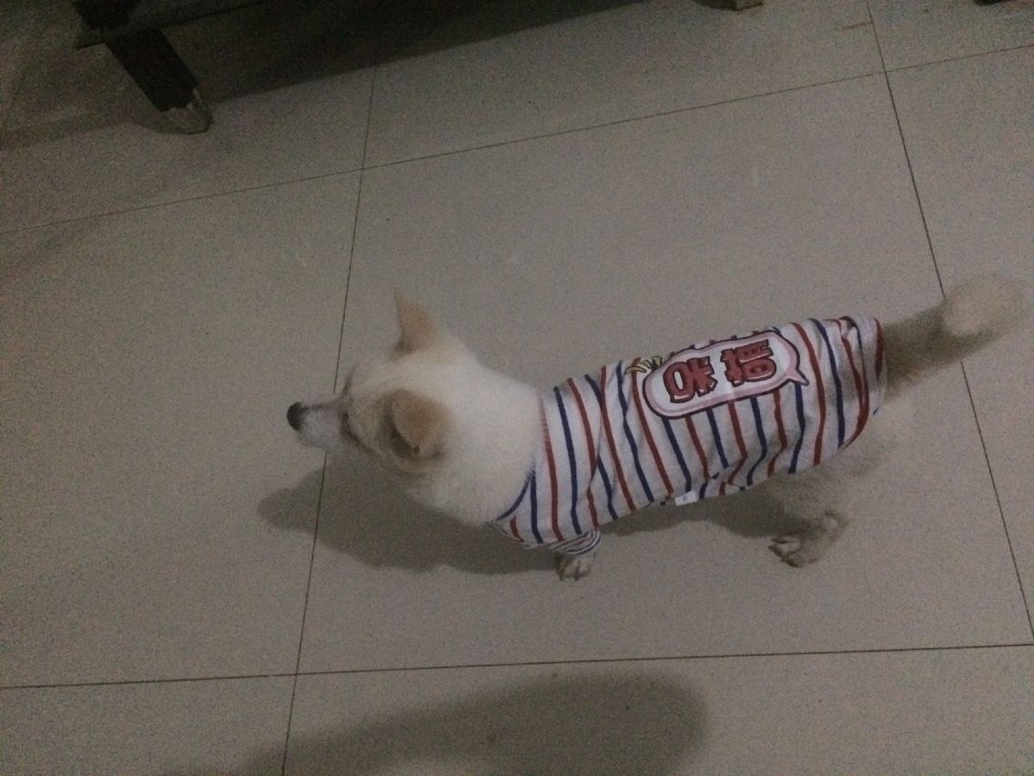 tensorflow c++加载checkpoint model.meta model.index报错解决及转cv::Mat为Tensor_model loading failed!-CSDN博客