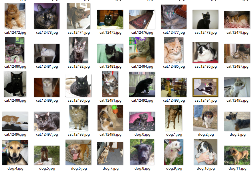 修改pytorch提供的resnet接口实现Kaggle猫狗识别_resnet18做猫狗大战-CSDN博客