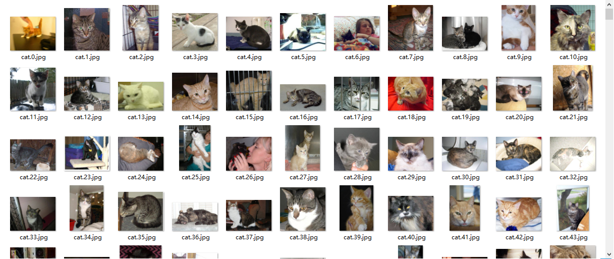 TensorFlow + Keras 图像识别：Dogs vs Cats Image Classification with data ...