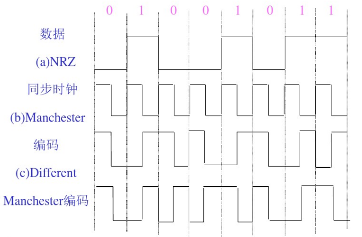 TCP/IP协议栈之LwIP（二）---网络接口管理_lwip loopback-CSDN博客