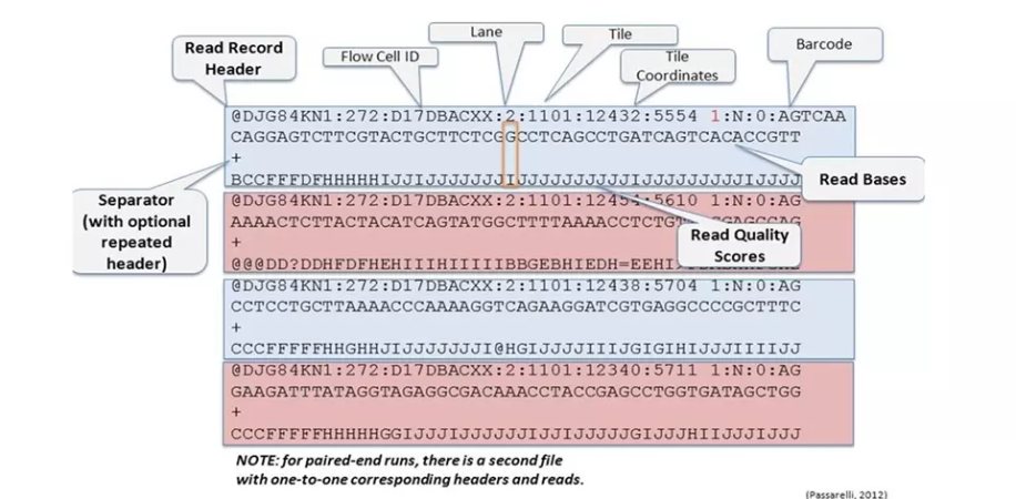 fastq、fasta、sam数据格式_fastq sam-CSDN博客
